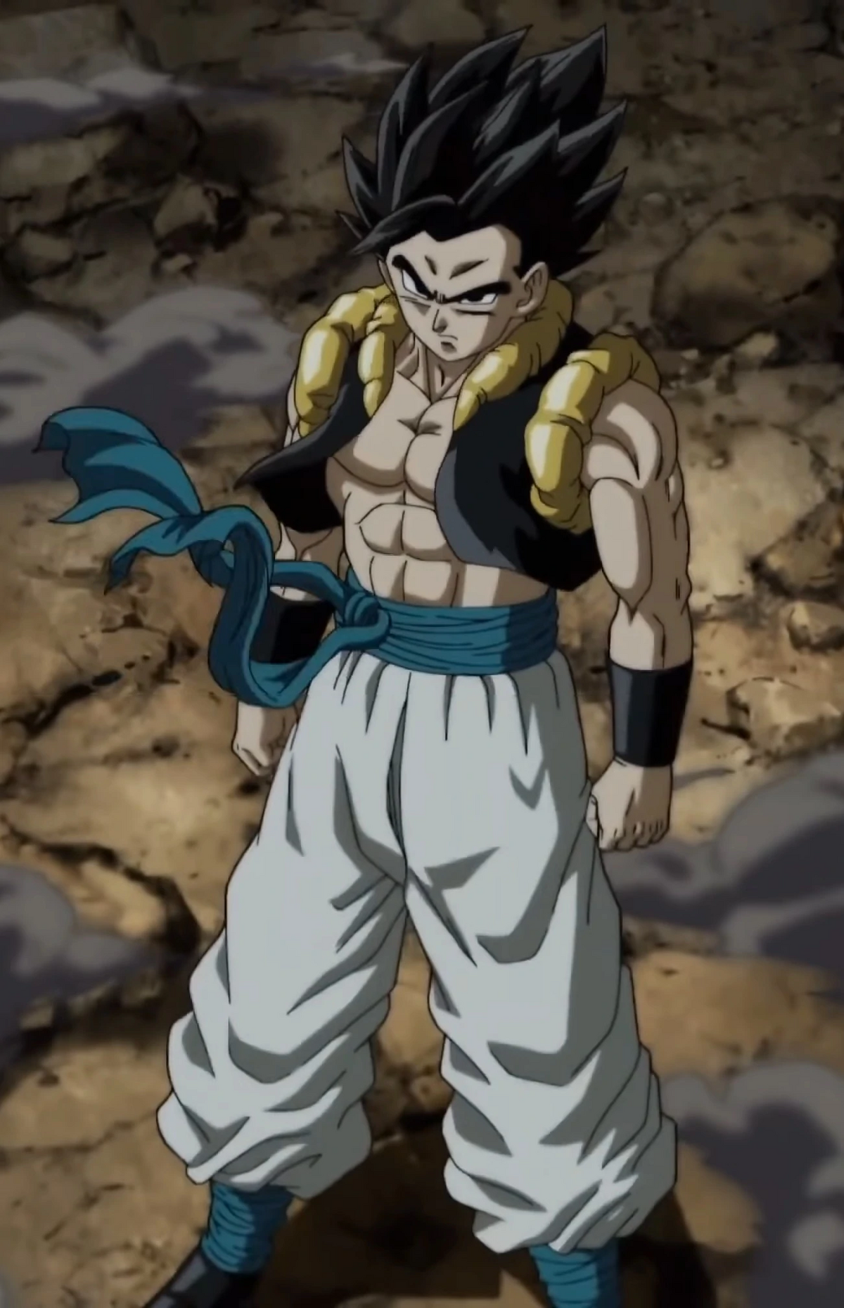 Gogeta Power Level Final Perfect Power Level List Wiki Fandom
