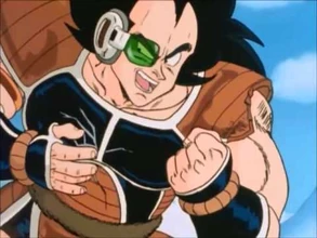 RADITZ | PERFECT POWER LEVEL LIST Wiki | Fandom