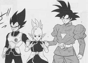 Shin (Supreme Kai) | PERFECT POWER LEVEL LIST Wiki | Fandom