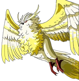 Tokitoki | PERFECT POWER LEVEL LIST Wiki | Fandom