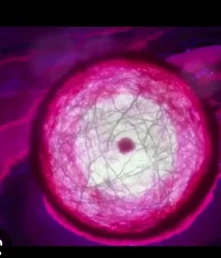 Cell Power Levels | PERFECT POWER LEVEL LIST Wiki | Fandom