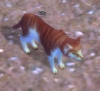 Kitty | Perfect World International Wiki | Fandom