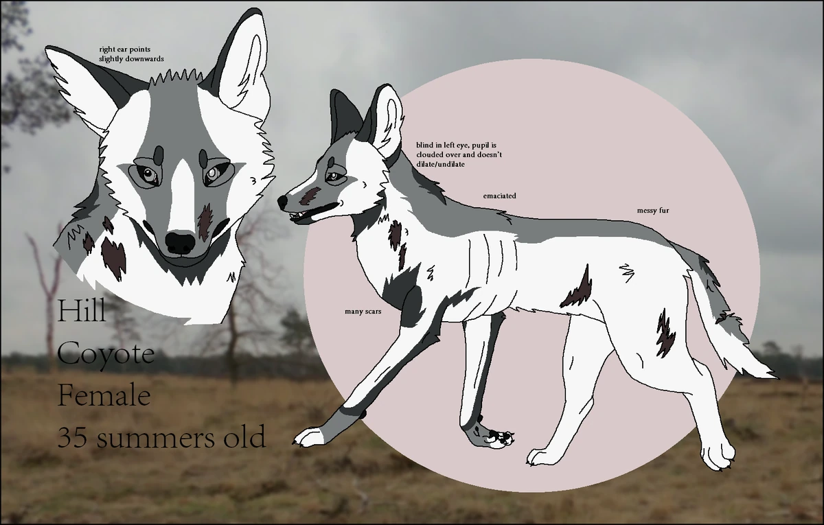 Hill | Perfidy Wiki | Fandom