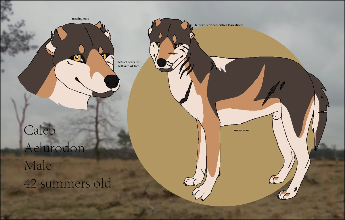 Caleb | Perfidy Wiki | Fandom