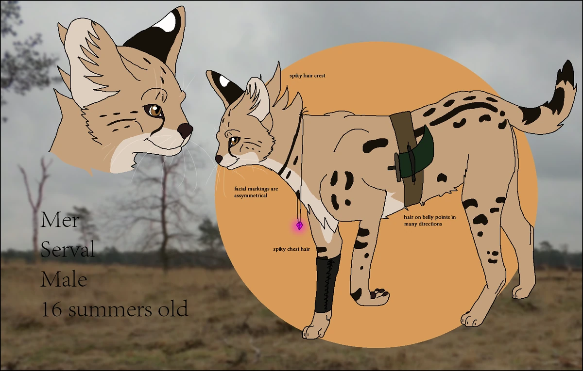 Mer | Perfidy Wiki | Fandom