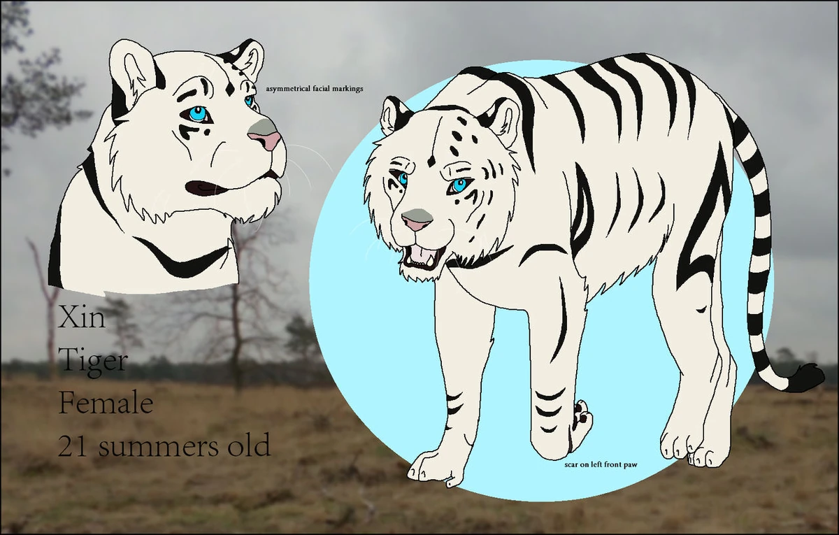 Xin | Perfidy Wiki | Fandom