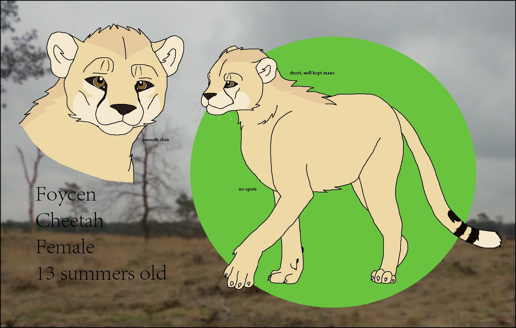 Foycen | Perfidy Wiki | Fandom