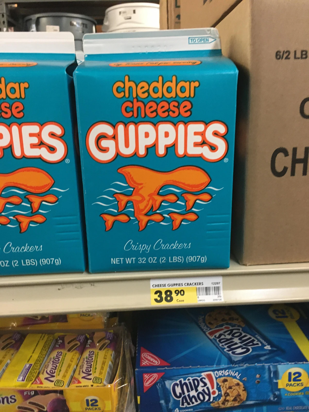 Cheddar Cheese Guppies | Chronicles of Acbene Wiki | Fandom