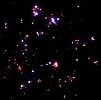 Lawrencium | Elements Wiki | Fandom