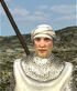 Companions | Perisno Wiki | Fandom