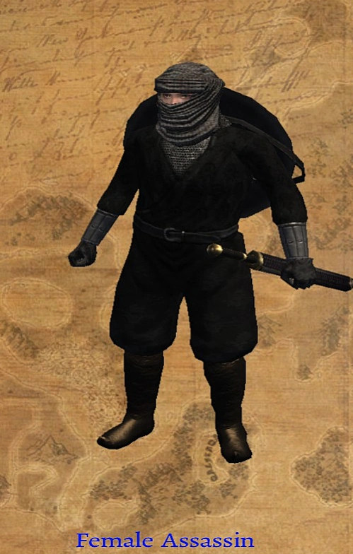 Female Assassin | Perisno Wiki | Fandom