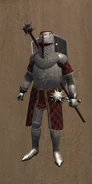 Tolranian Tower Knight | Perisno Wiki | Fandom