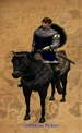 Noble Troops | Perisno Wiki | Fandom