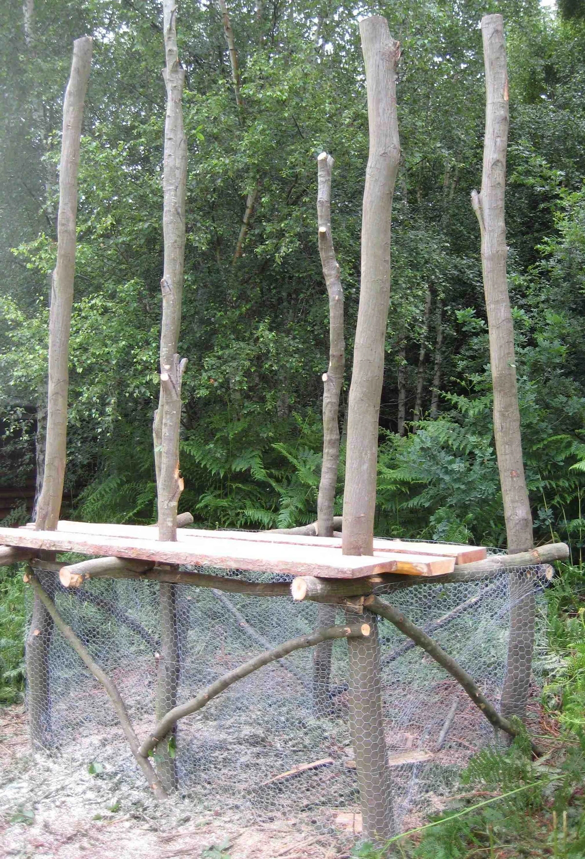 Tree bog | PermaWiki | Fandom