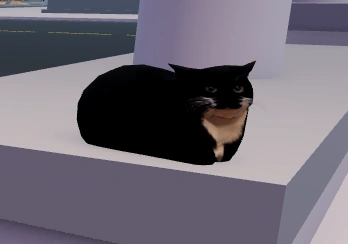 Maxwell the cat | Peroxide roblox Wiki | Fandom