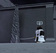 Hollow/Arrancar | Peroxide Wiki | Fandom