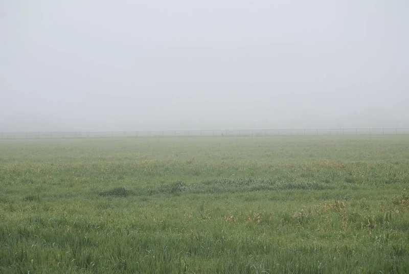 Level 10 - Desolate Field | Perpetual Liminality Wiki | Fandom