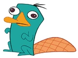Perry | Perrypedia Wiki | Fandom