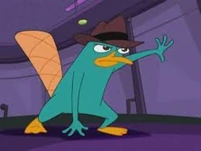 Perry the Platypus | Perrysodes Wikia | Fandom