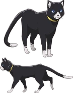 Morgana | Persona Records Wiki | Fandom