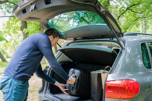 Practicore | Personal Aesthetics Wiki | Fandom