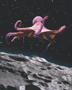 Deep Ocean Spacecore | Personal Aesthetics Wiki | Fandom