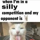 Sillycore | Personal Aesthetics Wiki | Fandom