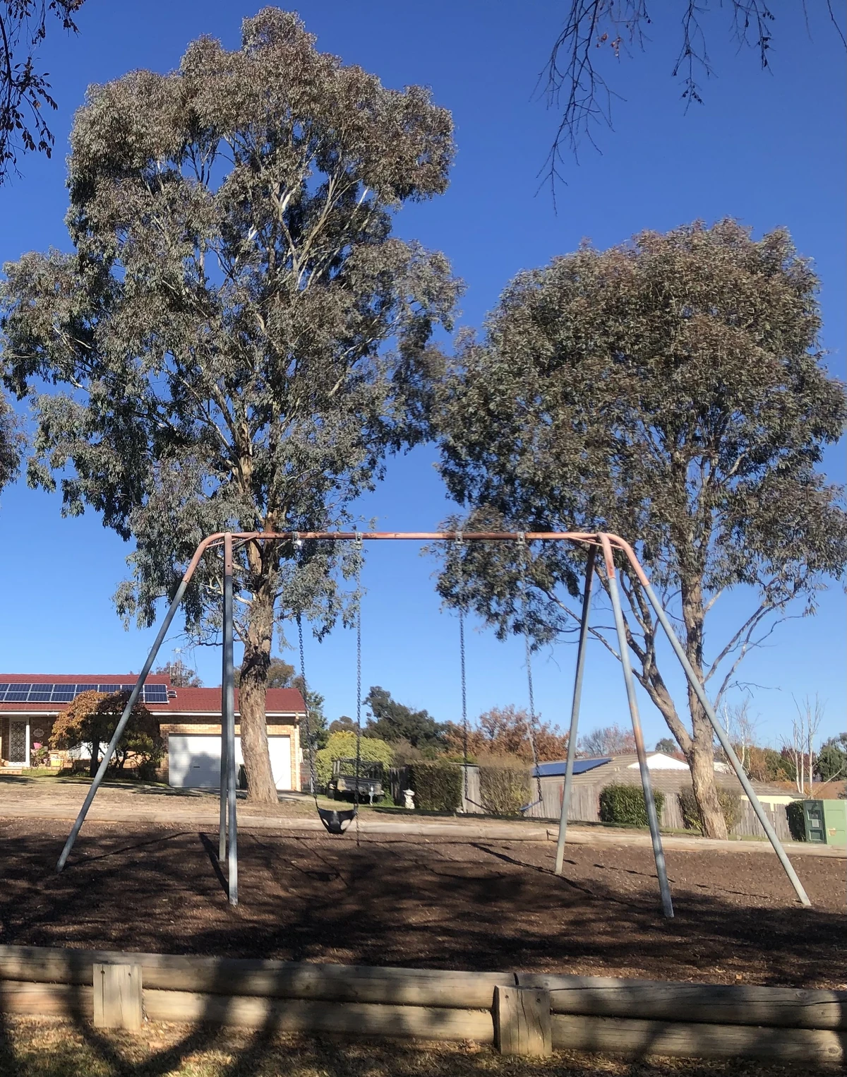 Koalacore | Personal Aesthetics Wiki | Fandom