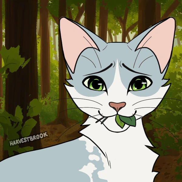 Blizzardshine | Personal ClanGen Wiki | Fandom