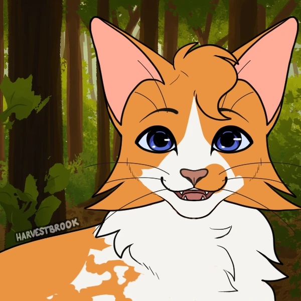 Robinwing | Personal ClanGen Wiki | Fandom