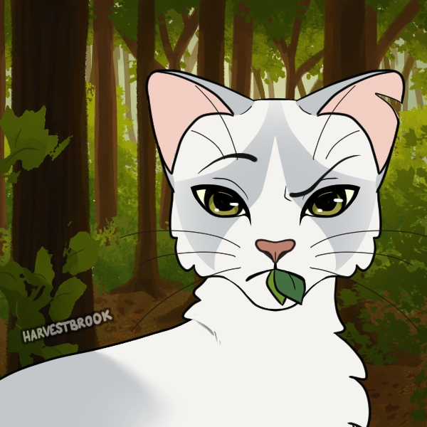 Deadfin | Personal ClanGen Wiki | Fandom