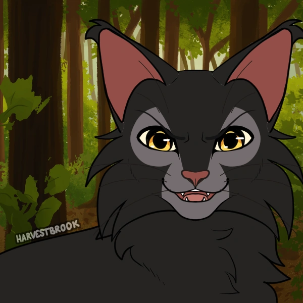 Blackpaw | Personal ClanGen Wiki | Fandom