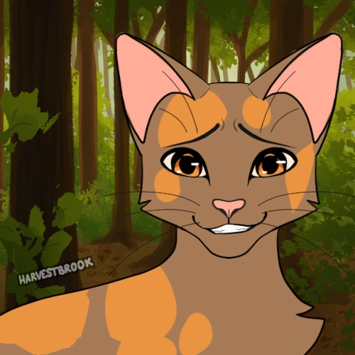 Sunspots | Personal ClanGen Wiki | Fandom