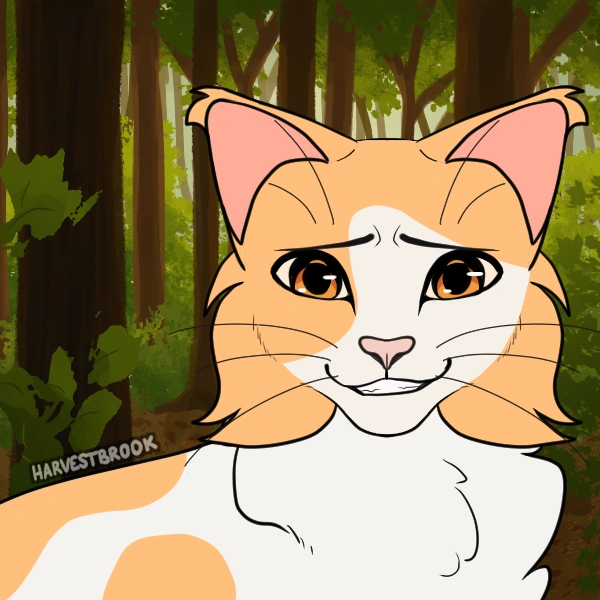 Amberpaw | Personal ClanGen Wiki | Fandom