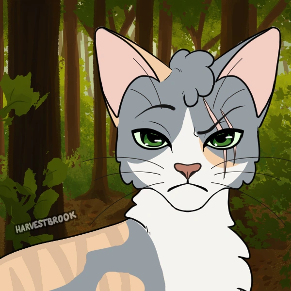 Owltoe | Personal ClanGen Wiki | Fandom