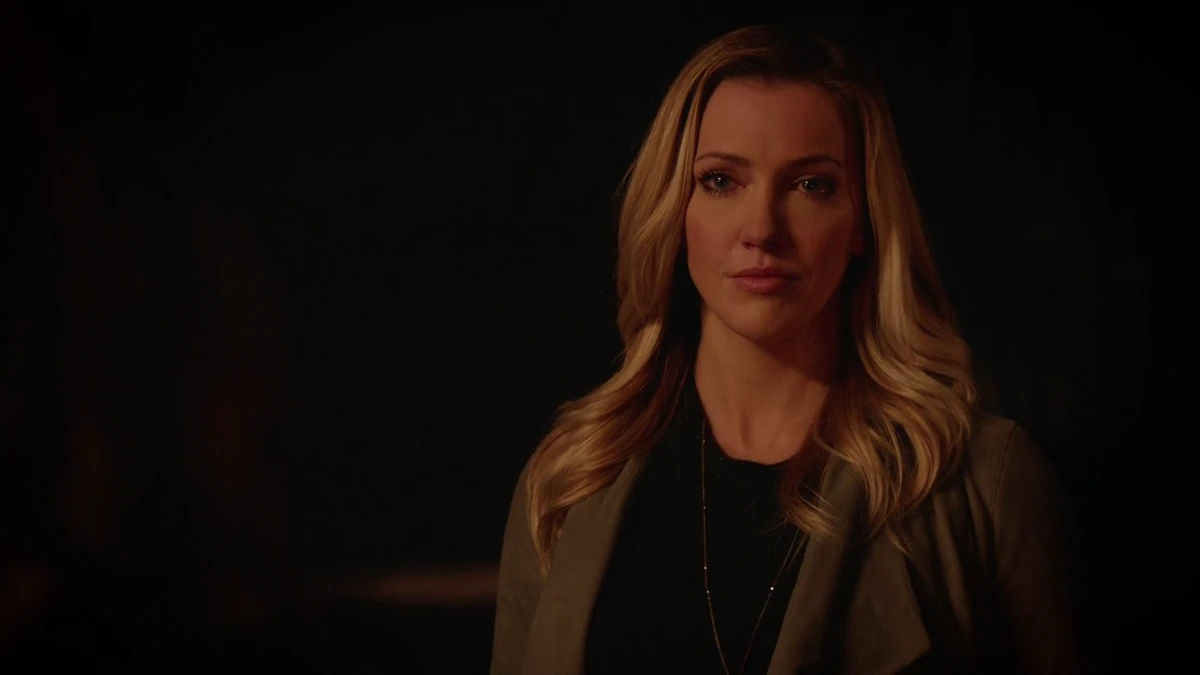 Laurel Lance | Personal Database Wikia | Fandom