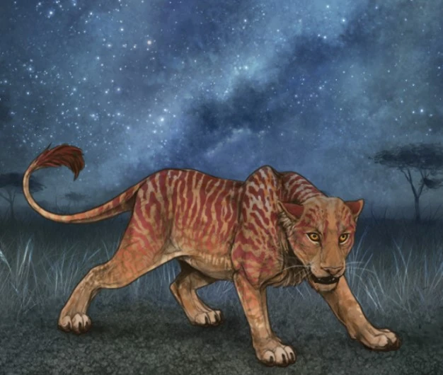 Emberpaw | Personal LioDen Family Tree Wiki | Fandom