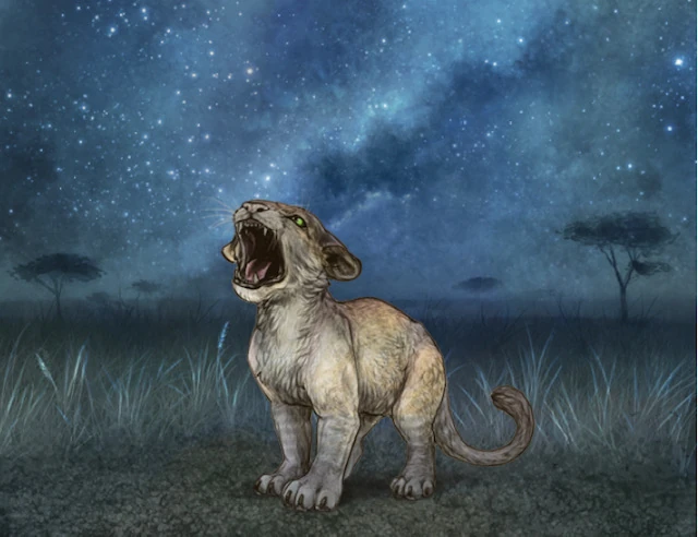 Echo-Of-Ash | Personal LioDen Family Tree Wiki | Fandom