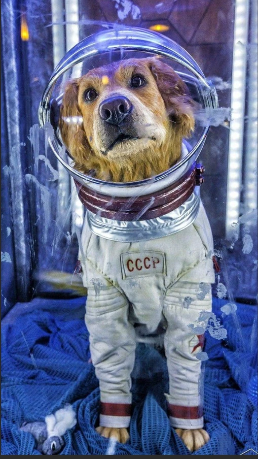 Cosmo The Space Dog | Personal marvel universe Wiki | Fandom