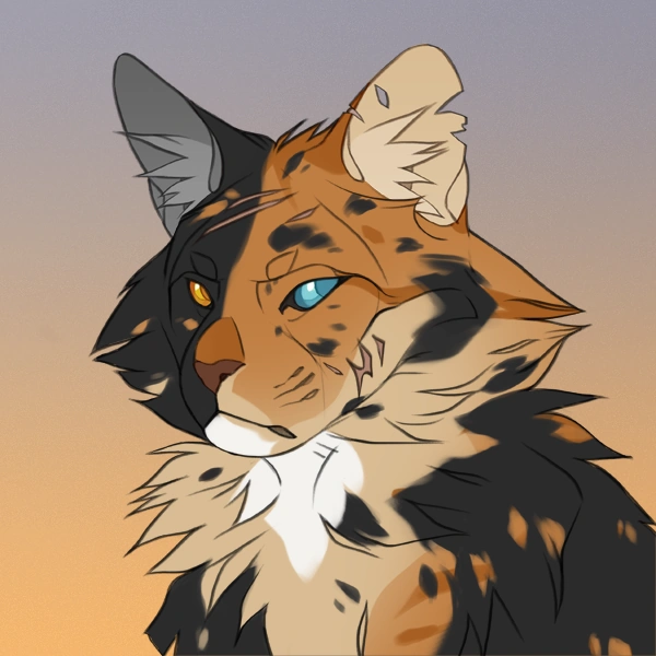 Shatteredheart | Personal warriors Ocs Wiki | Fandom