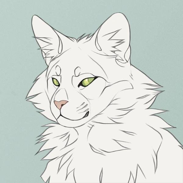 Snow | Personal warriors Ocs Wiki | Fandom