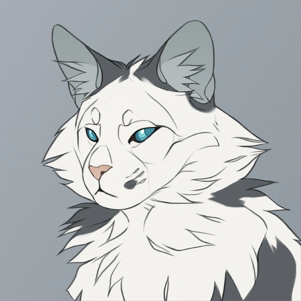 Cinderwing | Personal warriors Ocs Wiki | Fandom