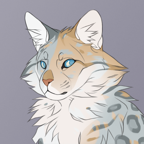 Perchstep | Personal warriors Ocs Wiki | Fandom