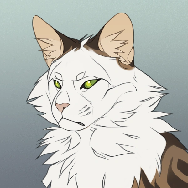 Echopool | Personal warriors Ocs Wiki | Fandom