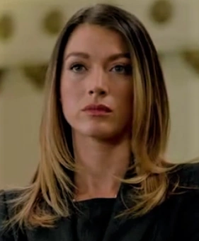 Diane Hansen | Wikia Person of Interest France | Fandom