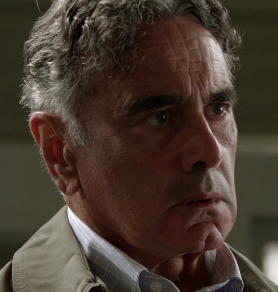 Bernie Sullivan | Person of Interest Wiki | Fandom