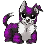 Neon Stripes | Pet Adoptables Wiki | Fandom