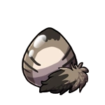 Aardwolf | Pet Adoptables Wiki | Fandom