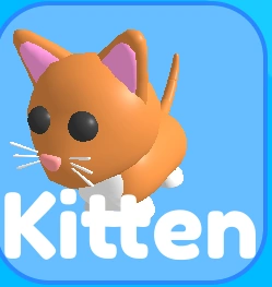 Kitten | Pet Escape X Wiki | Fandom