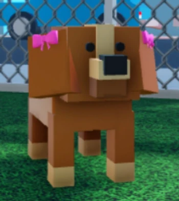 Canela | Pet story Wiki | Fandom